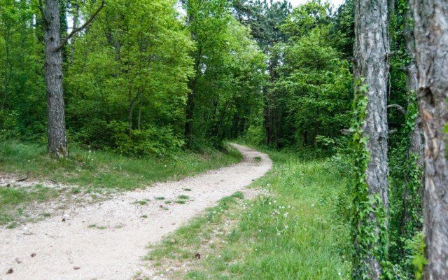 Mountainbike Touren mit GPS-Daten | Federweg