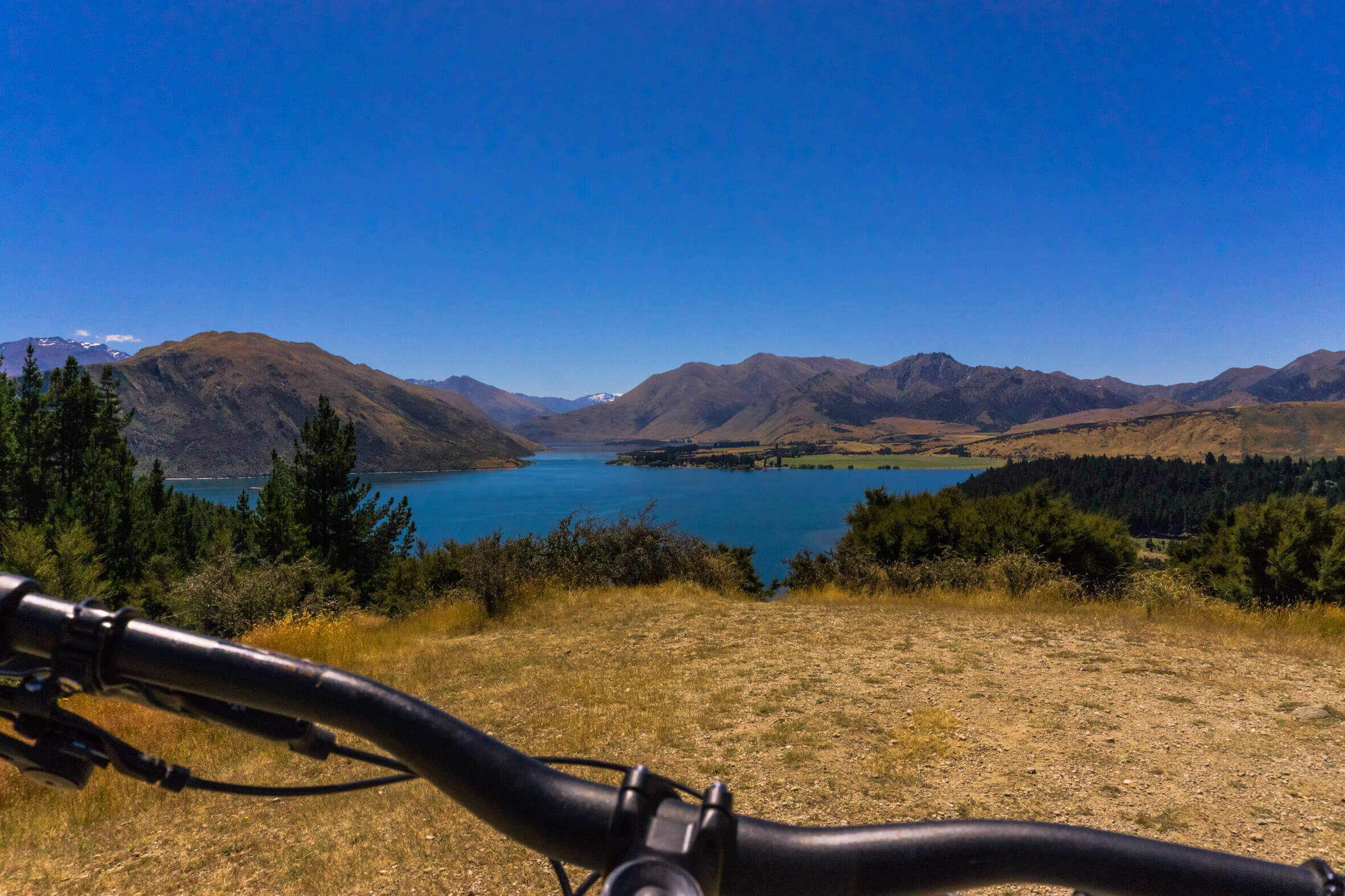 Mountainbiken im Sticky Forest Wanaka (Neuseeland) - Federweg